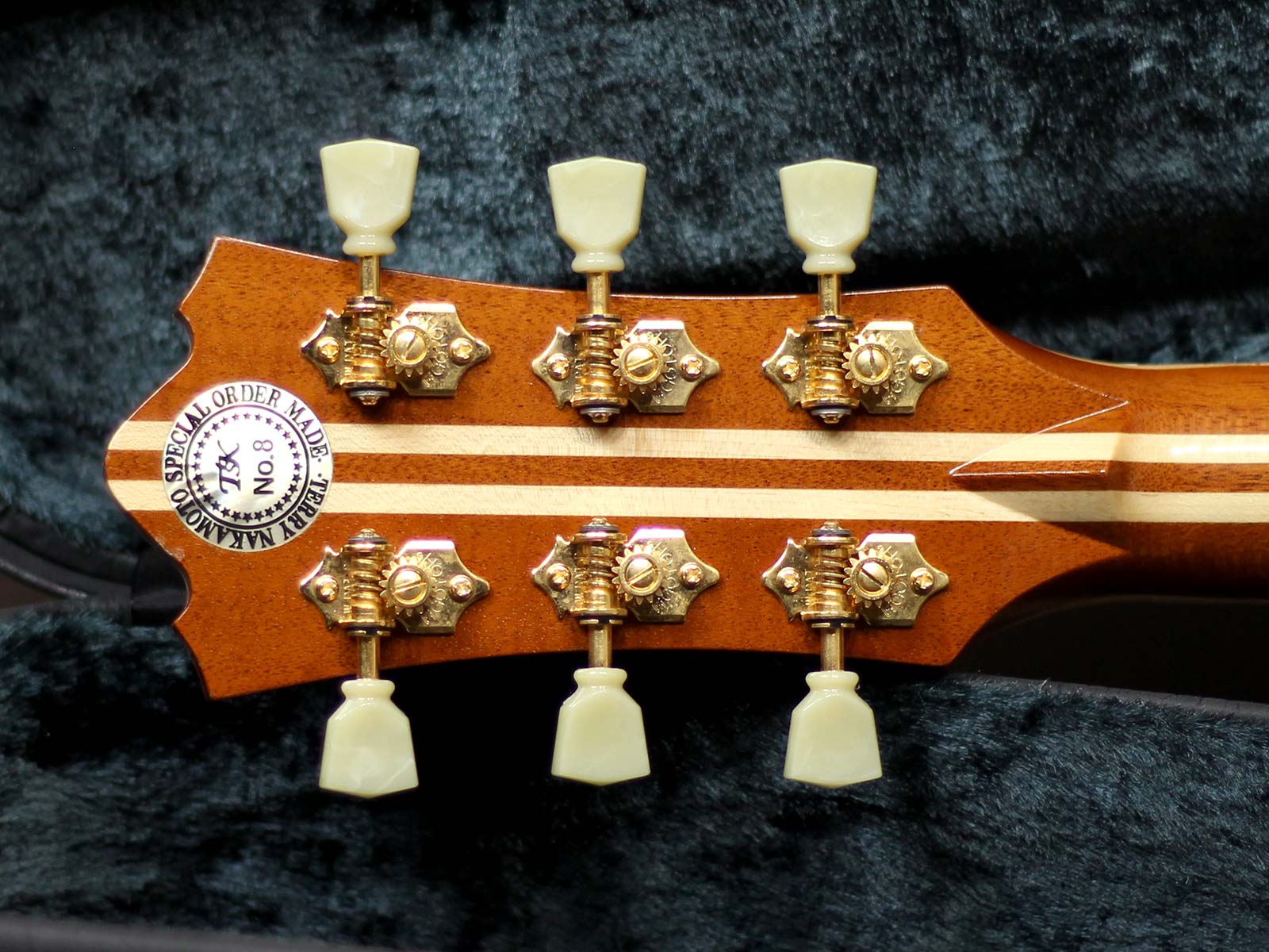 TSK No.8 Tortoise Shell Pickguard -Not Aged-